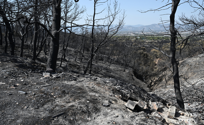 Κατέληξε ο μελισσοκόμος στην Τιθορέα – Στους έξι οι νεκροί από τις ...